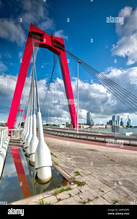 Willemsbrug Willems Bridge Nieuwe Maas Cable Stayed Bridge City