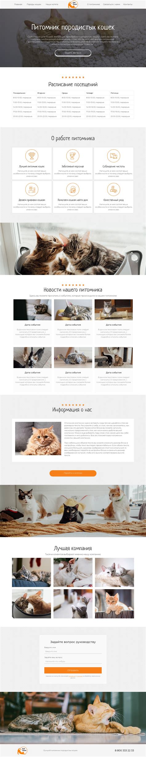 Шаблон сайта питомника породистых кошек Конструктор сайтов