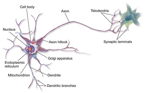 Introduction Of Artificial Neural Network — Binary Classification By