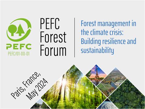 Join Us For The Pefc Forest Forum 2024 Pefc Programme For The Endorsement Of Forest