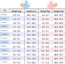 Weight Clothing Size Chart Girls Clothing Size Charts Blouses Skirts