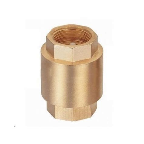 Snout Brass Spring Check Valve Vertical At ₹ 419piece Brass Check Valve In New Delhi Id