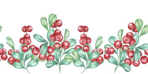 Cranberry Seamless Border Watercolor Clipart Featuring Clusters Of