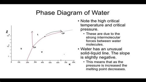 Difference Between Water And Carbon Dioxide Phase Diagram