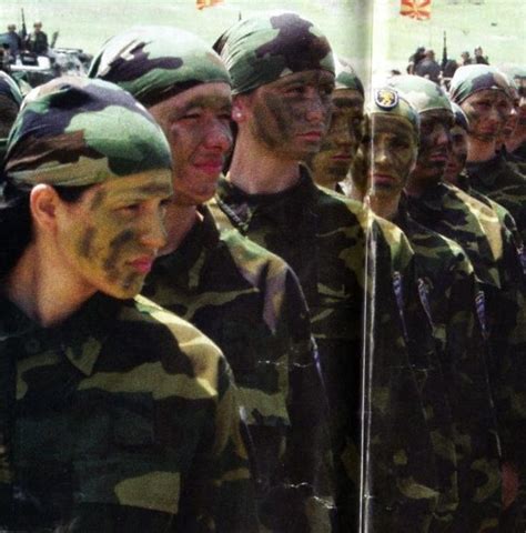 Македонски Лавови Задачите на единицата беа да расчистува инциденти