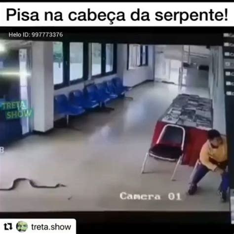 Rodrigo Candido Costa On Instagram “pisa Na Cabeça” Pisa Instagram