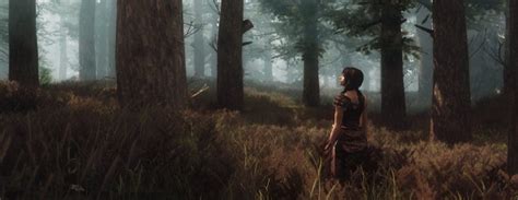 Skyrim Aeon Enb Install Guide Grossmail