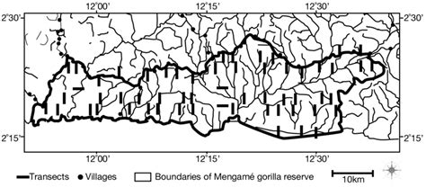 Transect Sampling Design In The Mengamé Gorilla Reserve Download Scientific Diagram