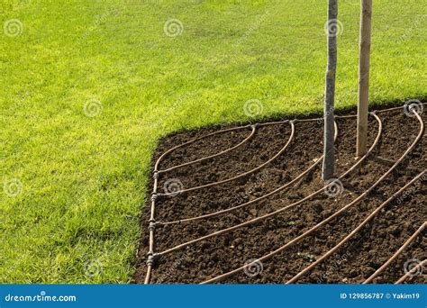 Drip Irrigation System Stock Image Image Of Conservation 129856787
