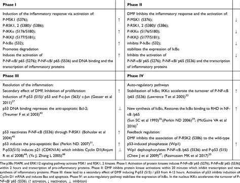 Dimethyl Fumarate Targets Msk1 Rsk1 2 And Ikkαβ Kinases Ptt