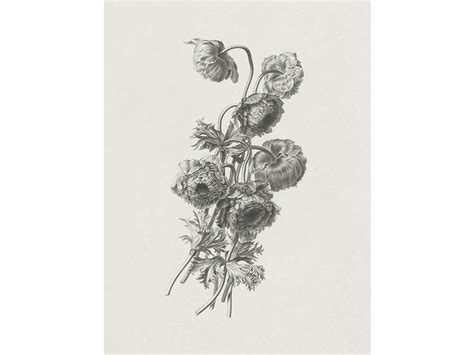 Botanical Sketch Viii Trove Prints