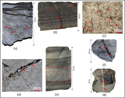 Representative Core Photographs Showing A Microfractures Developed Download Scientific