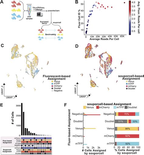 Evaluation Of Genetic Demultiplexing Of Single Cell Sequencing Data