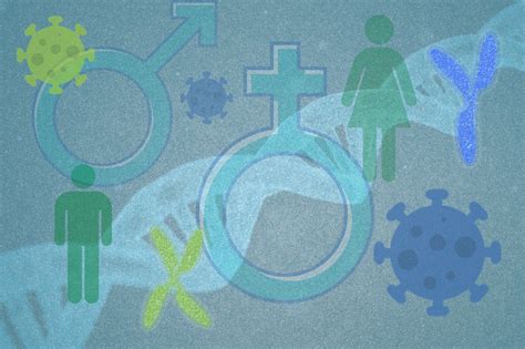Sex Differences In Immune Responses To COVID 19 University Of Edinburgh S Science Magazine