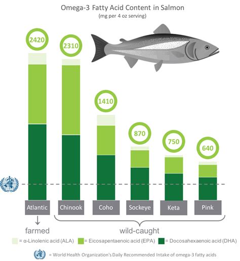 Which Is Healthier Wild Or Farmed Salmon Feed Them Wisely