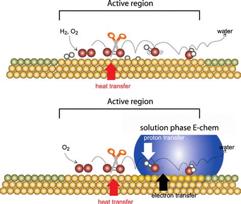Catalytic Reaction Involving Molecular Oxygen At Gas Solid Top And Download Scientific