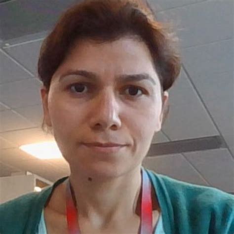 Nasim Larijani Senior Cae Engineer Randd Research Profile