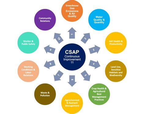 Csap Consejo De Granos De Ee Uu