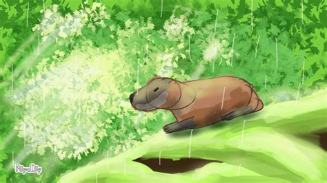 Capybara Animated By Qilinpokemon On Deviantart