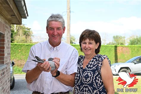 Luc De Laere 1e Nat Argenton 13 393 Jonge De Duif