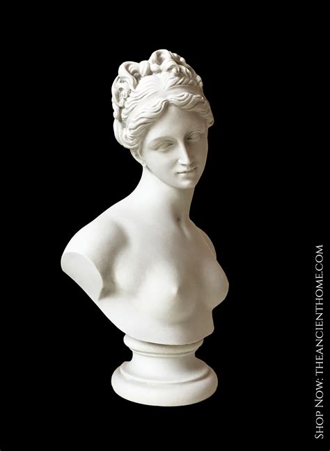 Venus Bust Sculpture Goddess Of Love Bust Sculpture Sculpture Greek Statues