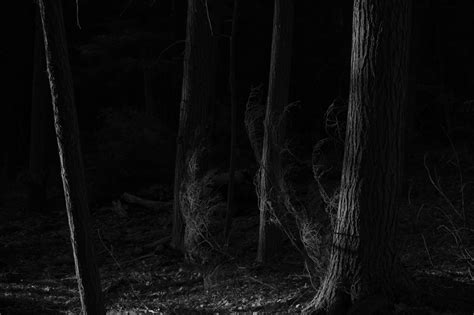 William Hacker Photography