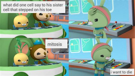 Discuss Everything About Octonauts Wiki Fandom