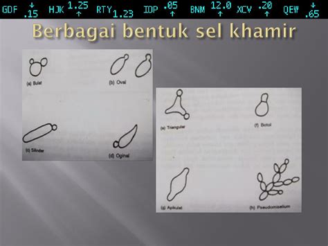 Ppt Khamir Powerpoint Presentation Free Download Id3912304