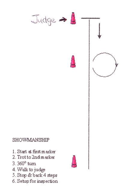 Showmanship Beginners Pattern This Is For Me Hahaha