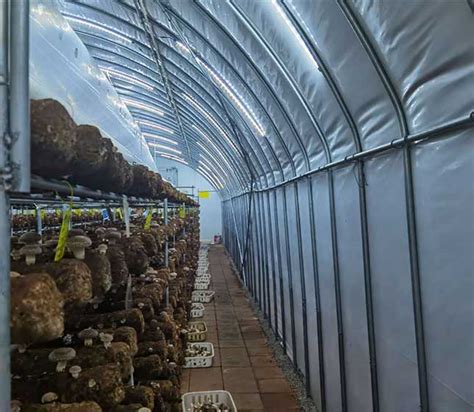 Mushroom Greenhouse HuiFa Greenhouse