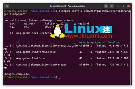 在不使用 Web 浏览器的情况下搜索和安装 Gnome Shell 扩展 Linux迷