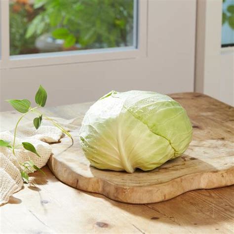 양배추친환경1통 배민 장보기∙쇼핑