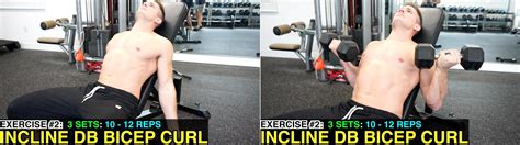 Muscular Strength Articles