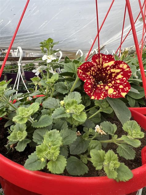 Вестник Здравей Чирпан ВРЕМЕ ЗА ИЗБОР Уважаеми читатели мисля че едно от най важните неща