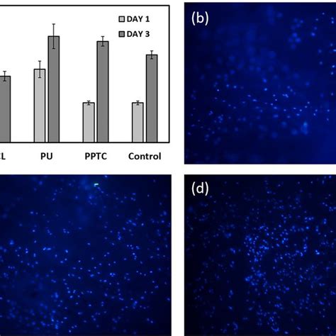 A The Mtt Cell Viability Assay Of The Scaffolds B Dapi Staining Of The Download Scientific
