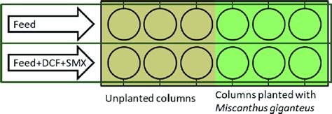 A Schematic Of The Lab Scale System Used In The Experiment Download Scientific Diagram