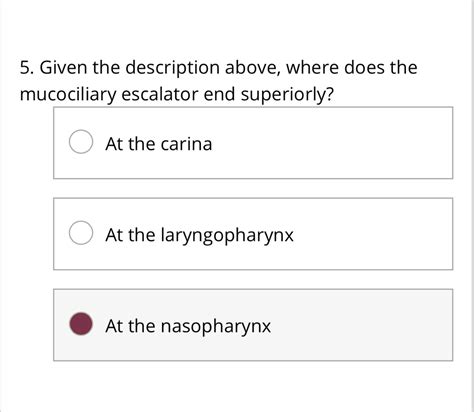 5 Given The Description Above Where Does The Mucociliary Escalator End Superiorly At The