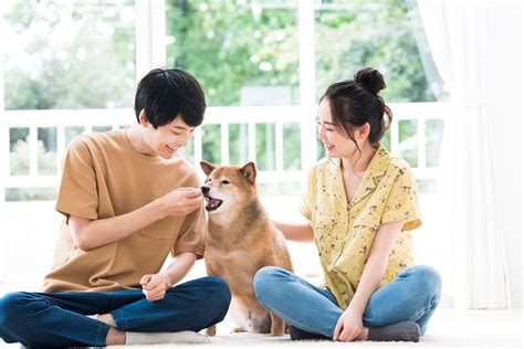【東京23区】で「犬と住みたいエリア」ランキング 3位「品川区」2位「港区」1位は“犬との暮らしに最適”な場所 オトナンサー