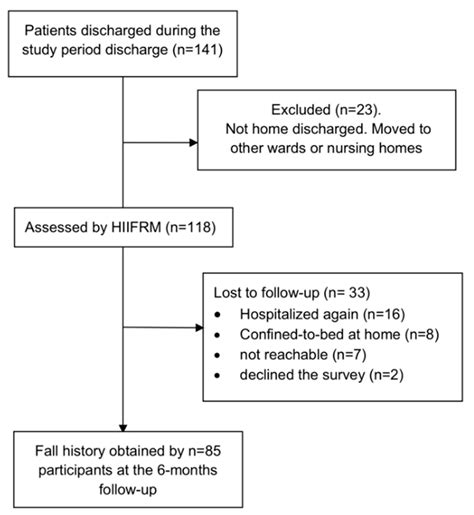Hendrich 2 Fall Risk Model