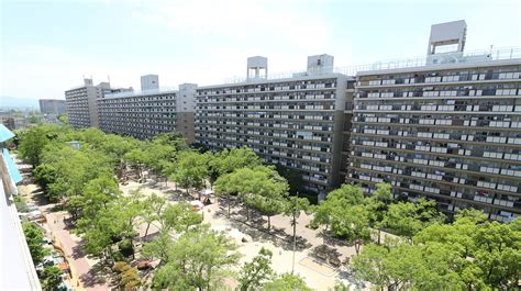 Ur中百舌鳥公園 Messiah Free Download Borrow And Streaming Internet