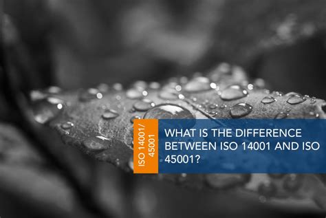 What Is The Difference Between ISO And ISO IMSMIMSM GB