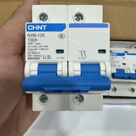 Cb Chint Circuit Breaker Safety Aptomat Mcb Nxbt 2 Phase 100a Chint