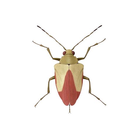 Closeup Of A Red And Yellow Bug Premium Ai Generated Psd