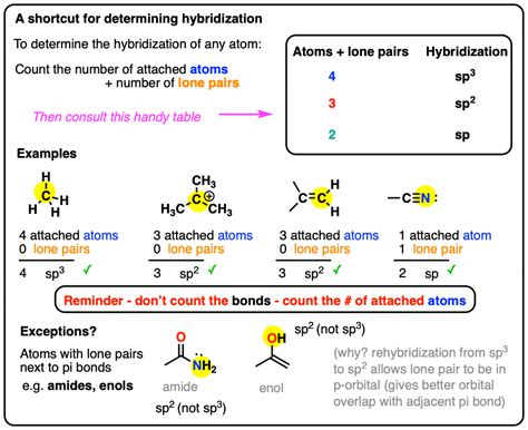 How To Determine Hybridization A Shortcut Organic Chemistry