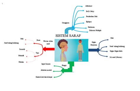 Mind Mapping Sistem Saraf New Pdf