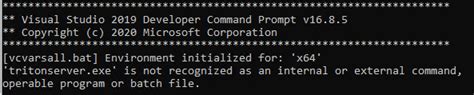 How To Start Triton Server After Building The Windows 10 Min Image