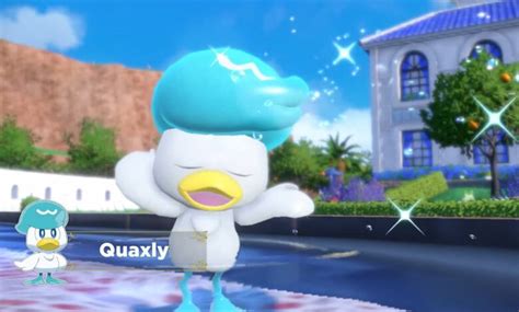 Todas las evoluciones de Quaxly en Pokémon Escarlata y púrpura