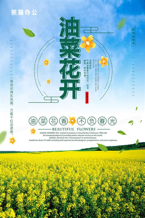 小清新油菜花开海报设计图片下载 psd格式素材 熊猫办公