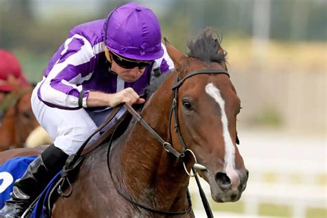 Royal Ascot Hardwicke Stakes Tips Continuous To Edge Out Middle Earth