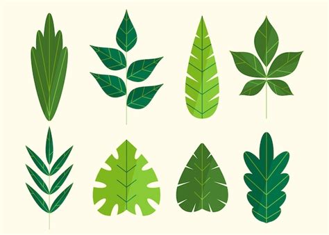 Free Vector Hand Drawn Leaves Collection